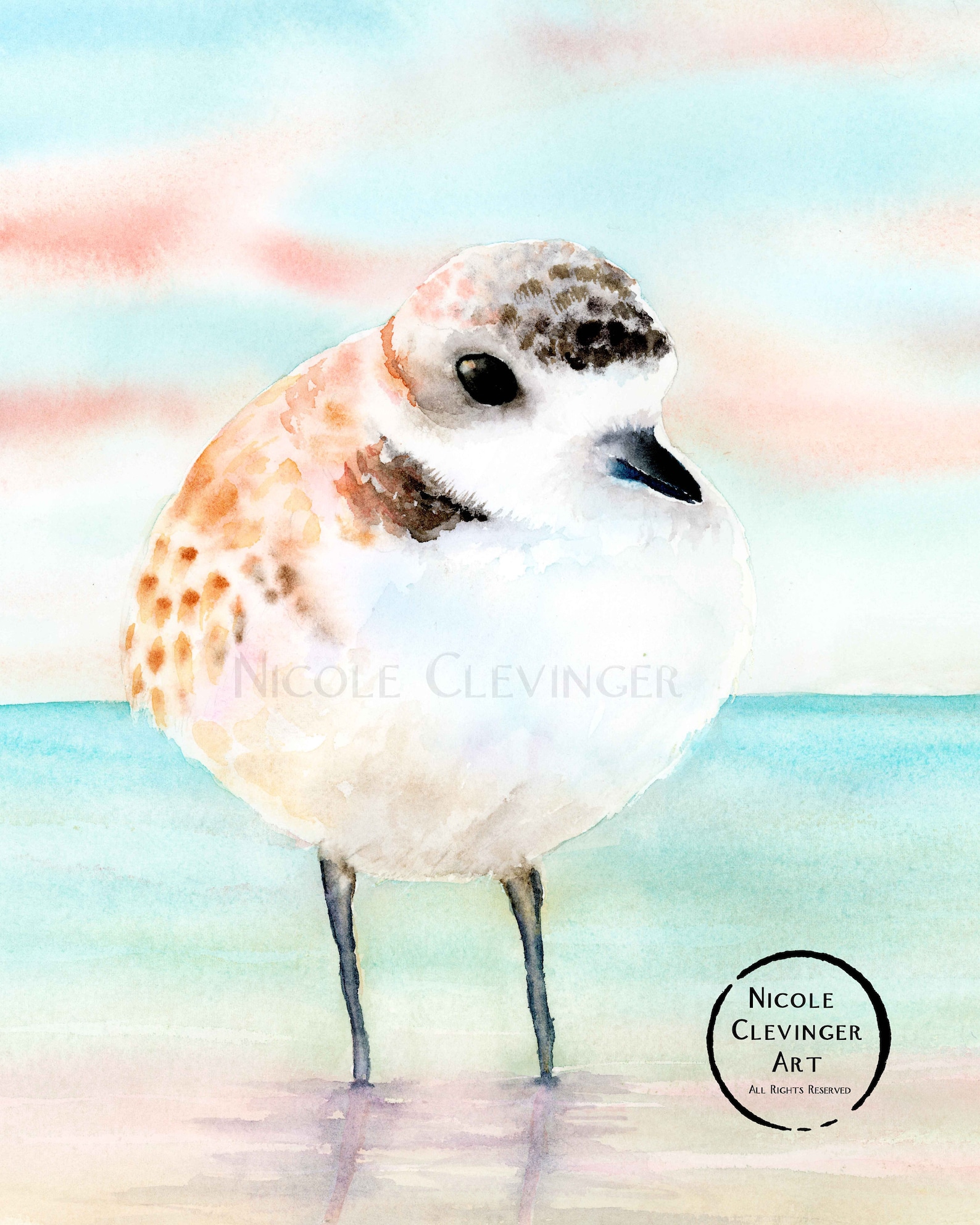 Piping Plover Watercolor Painting Print - Sea Bird Paintings, Sea Bird ...