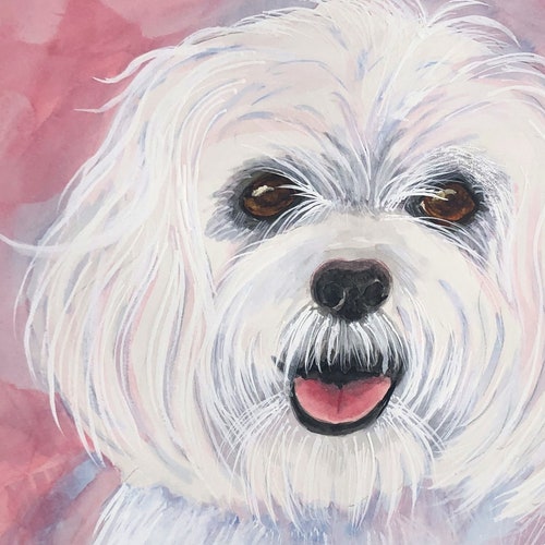 MALTESE DOG ART Original Watercolor Painting or Giclee - Etsy