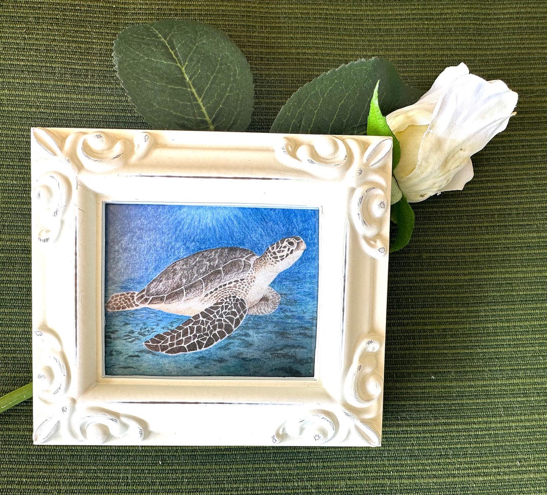 SEA TURTLE Framed Miniature Art Print, Tiny Art, Turtle Art, Gift for ...