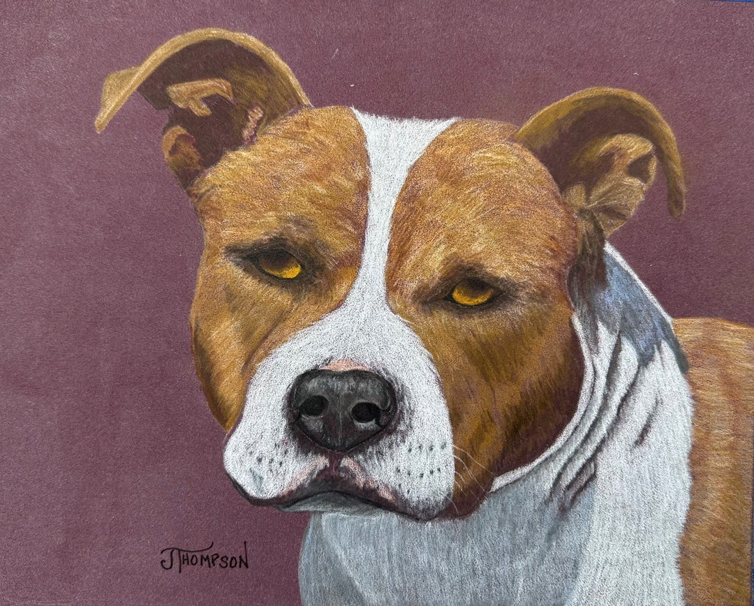 AMERICAN STAFFORDSHIRE TERRIER, Am Staff, Original Colored Pencil ...