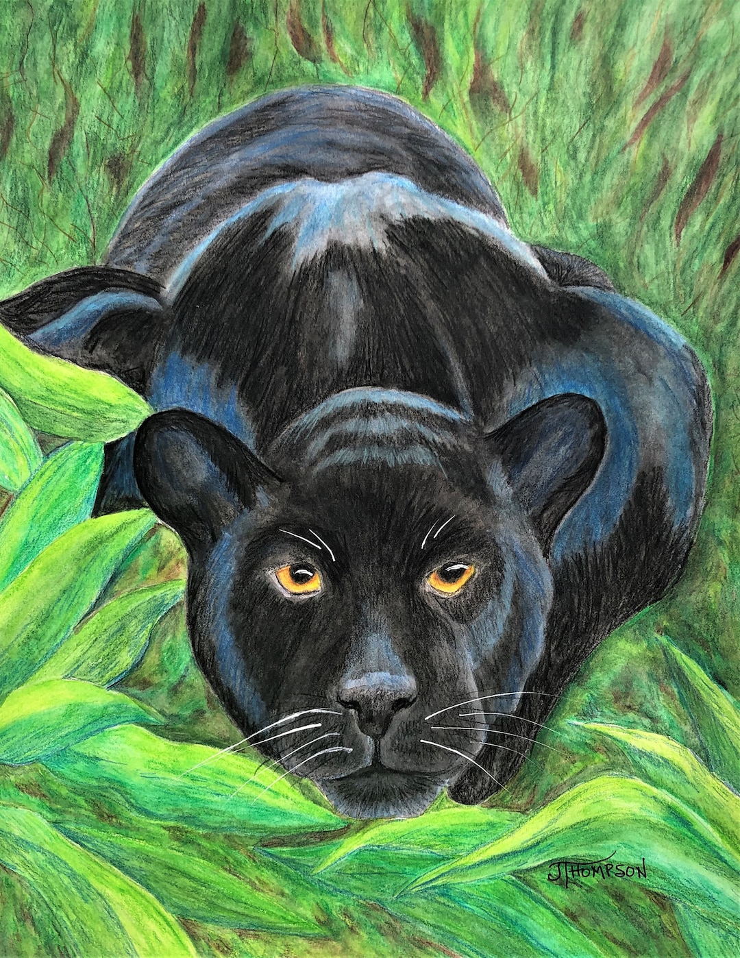 BLACK PANTHER ART, Original Watercolor -or- Giclee Art Print, Black ...
