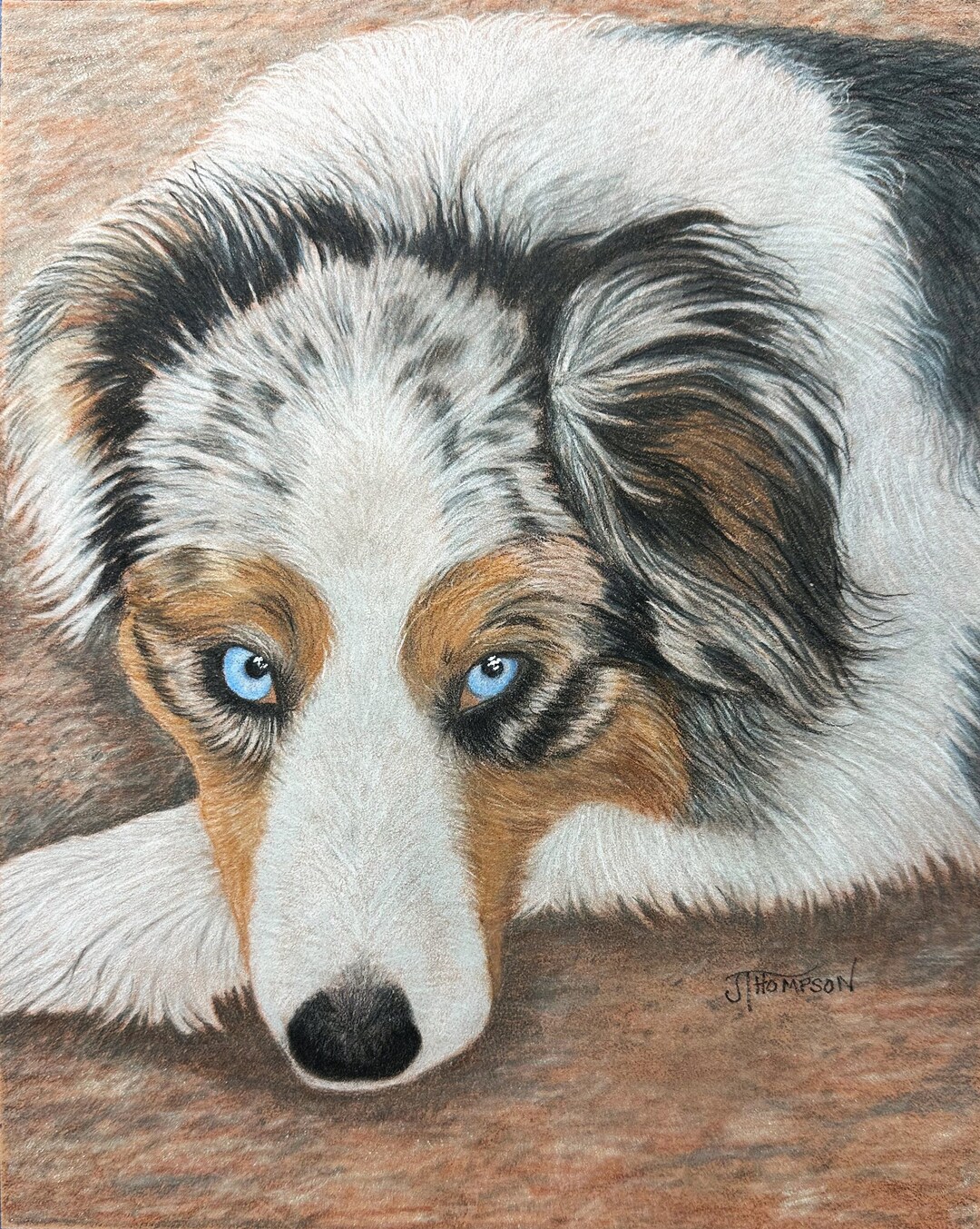 AUSTRALIAN SHEPHERD ART, Original Colored Pencil Artwork -or- Archival ...