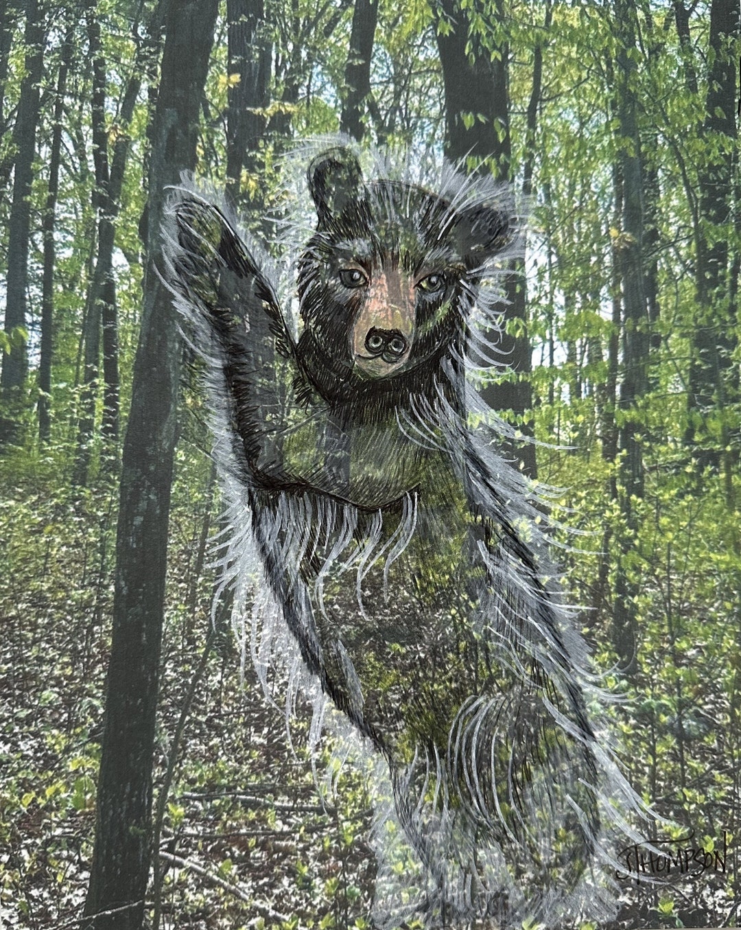 SPIRIT BEAR ART, Original Art -or- Archival Giclée Prints, Sprit Animal ...