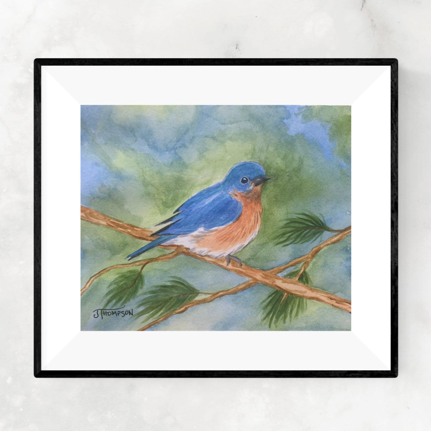 EASTERN BLUEBIRD ART Original Watercolor -or- Giclee Art Print, Bird ...