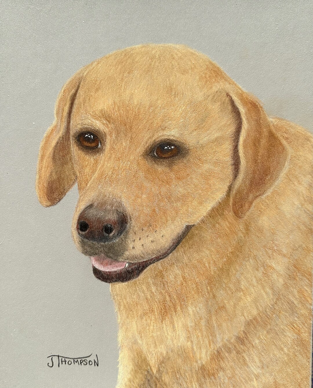LABRADOR RETRIEVER ART, Original Colored Pencil Art -or- Archival ...