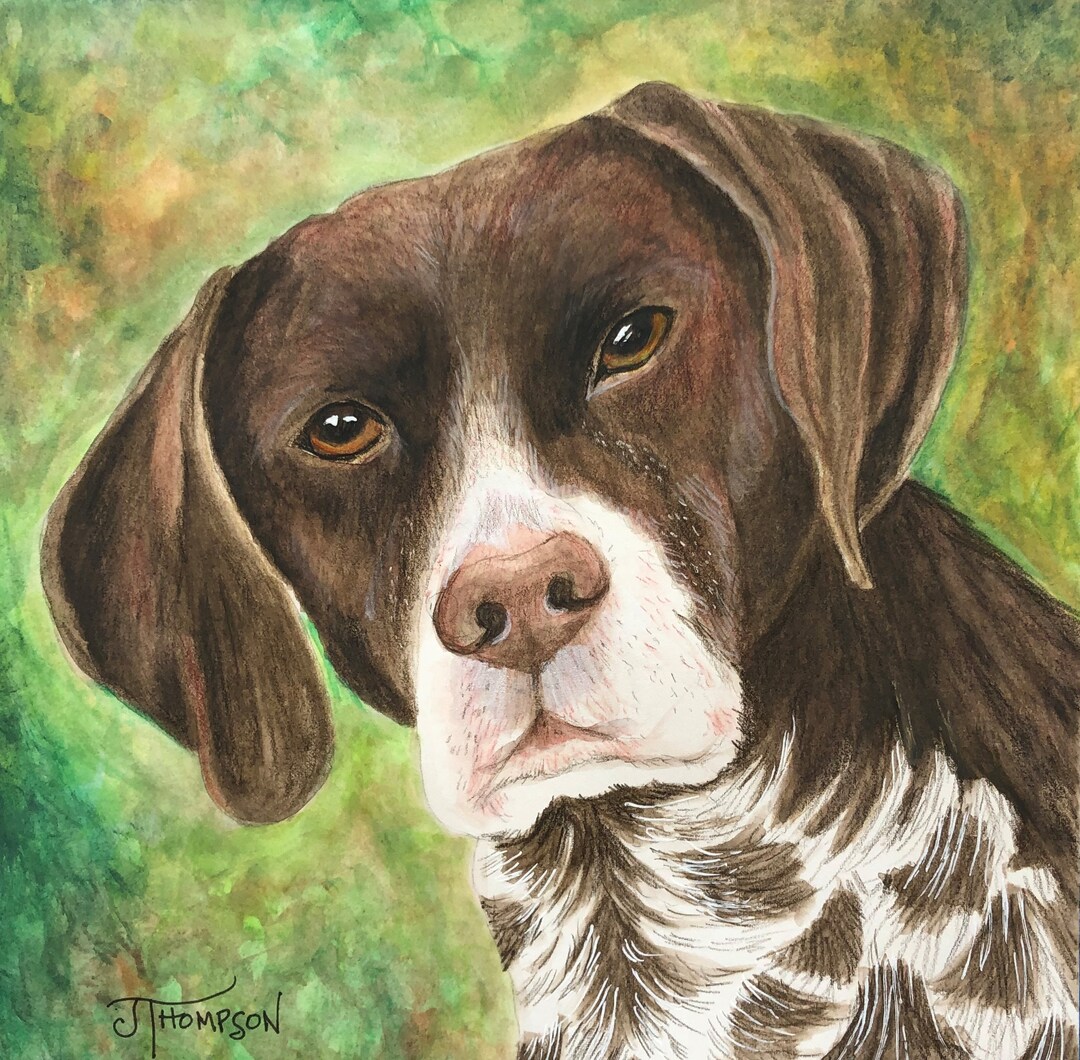GERMAN SHORTHAIRED POINTER Art, Original or Giclee Print, Gift for ...