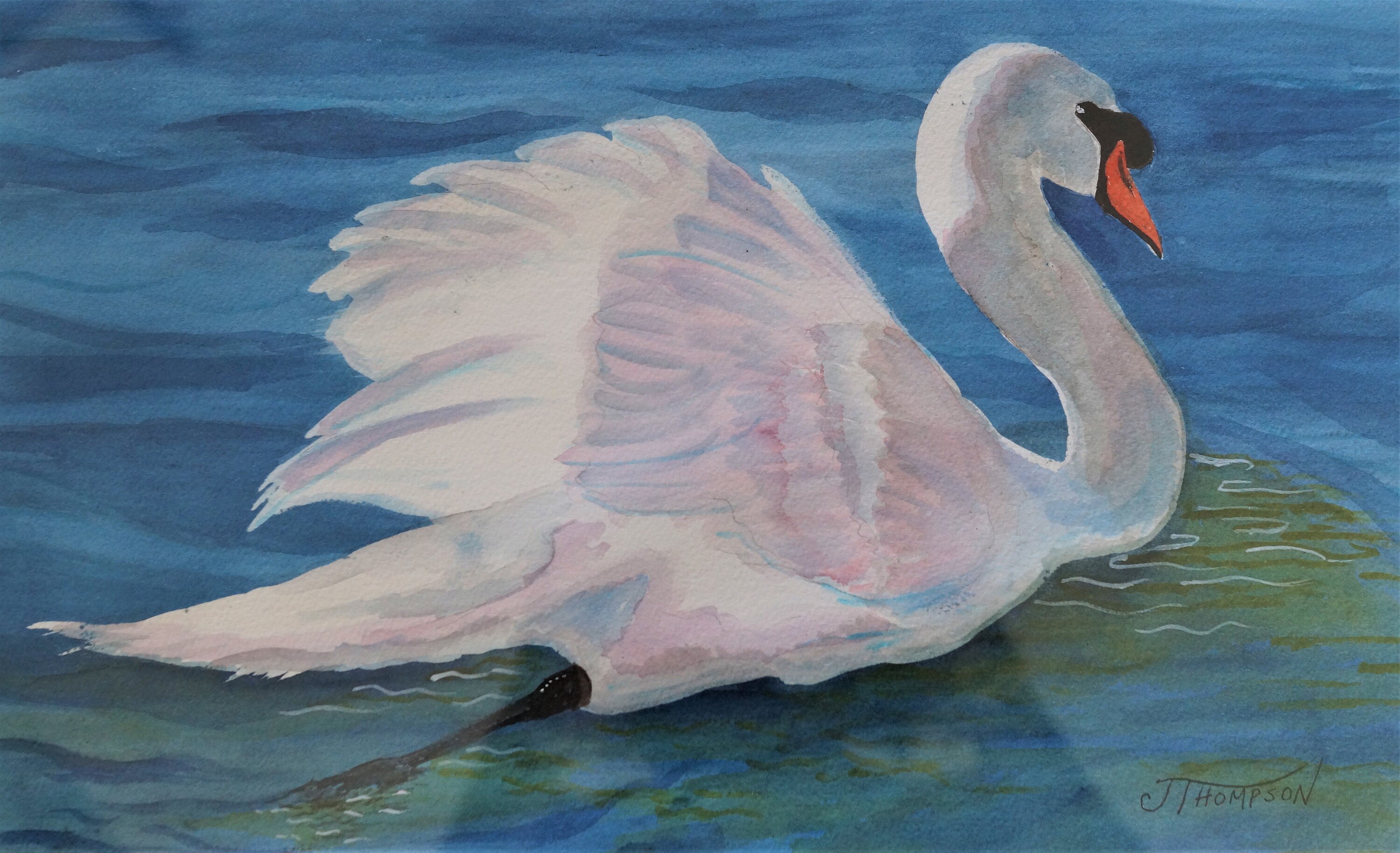 SWAN ART PRINT I de Original Watercolor Giclee Print Nature | Etsy