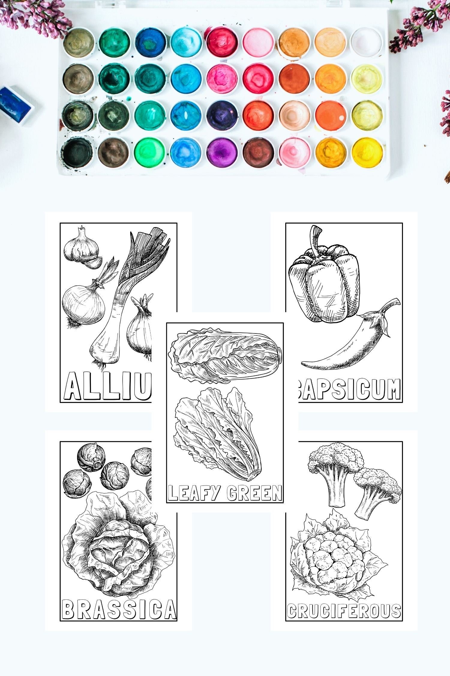 My Vegetable Coloring Book | Kids Coloring Fun | Educational Gardening ...