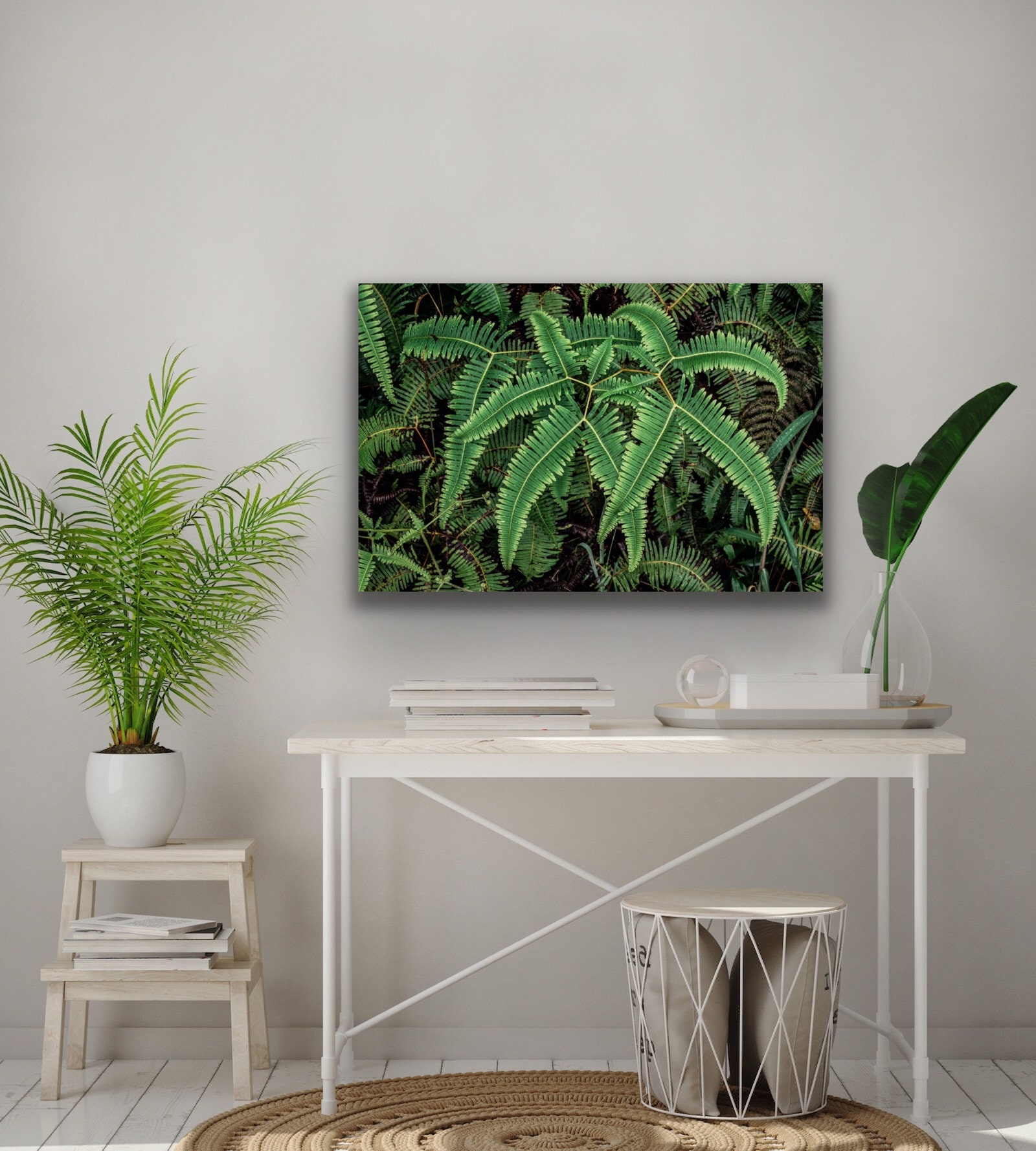 Hawaiian Fern - Photographic Wall Art - Etsy