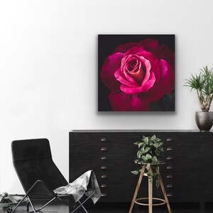 Blooming Rose - Photographic Wall Art - Etsy