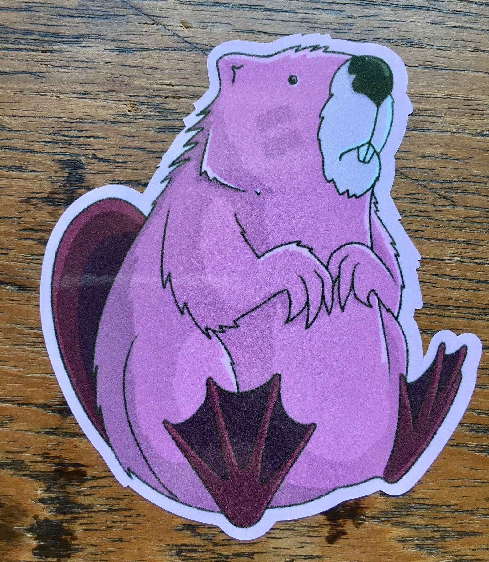 Pink Beaver Vinyl Sticker - Etsy