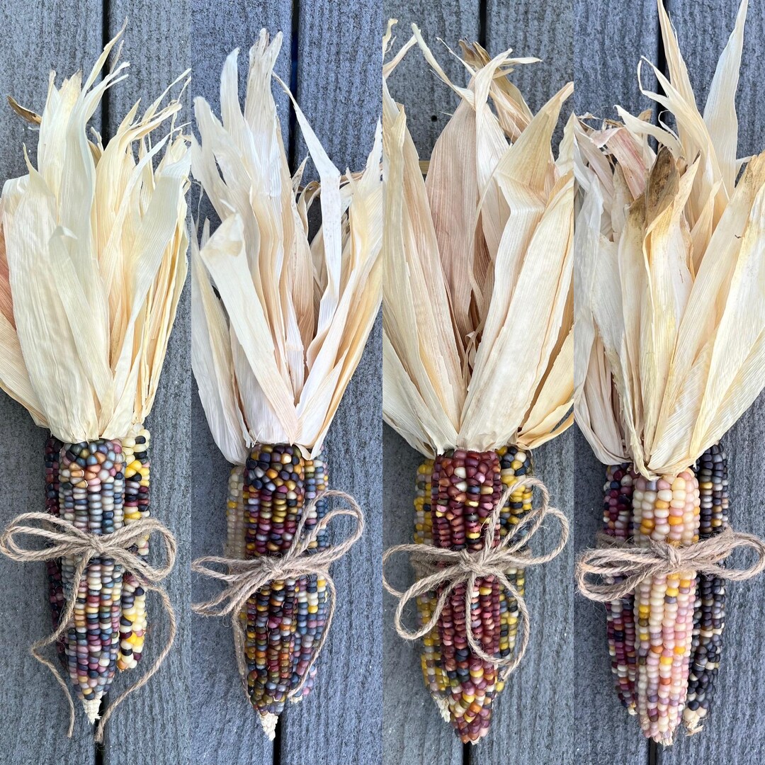 Indian Corn Swag, Real Indian Corn Swag, Indian Corn Door Hanger ...