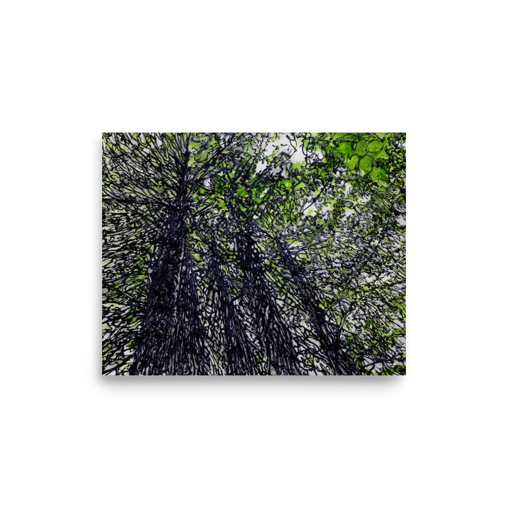 Cathedral Tree Trees of Mystery Art Print - Etsy