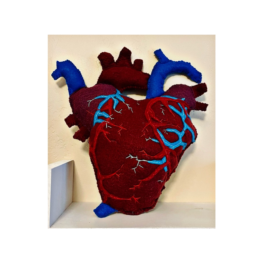 Handmade Felt Heart. Anatomical Heart. Detailed, Hand Sewn Heart. - Etsy