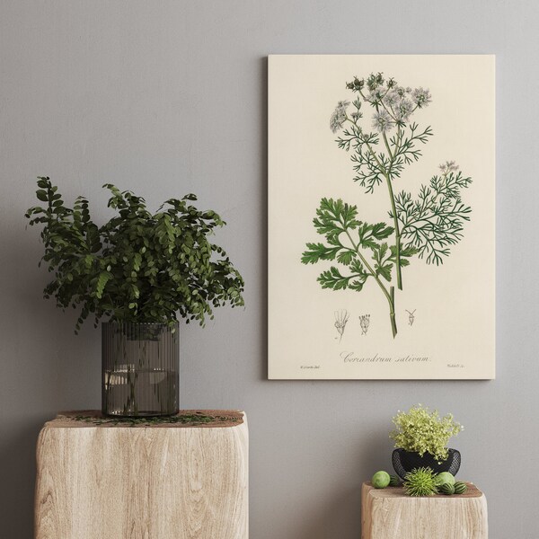 Botanical Canvas - Etsy
