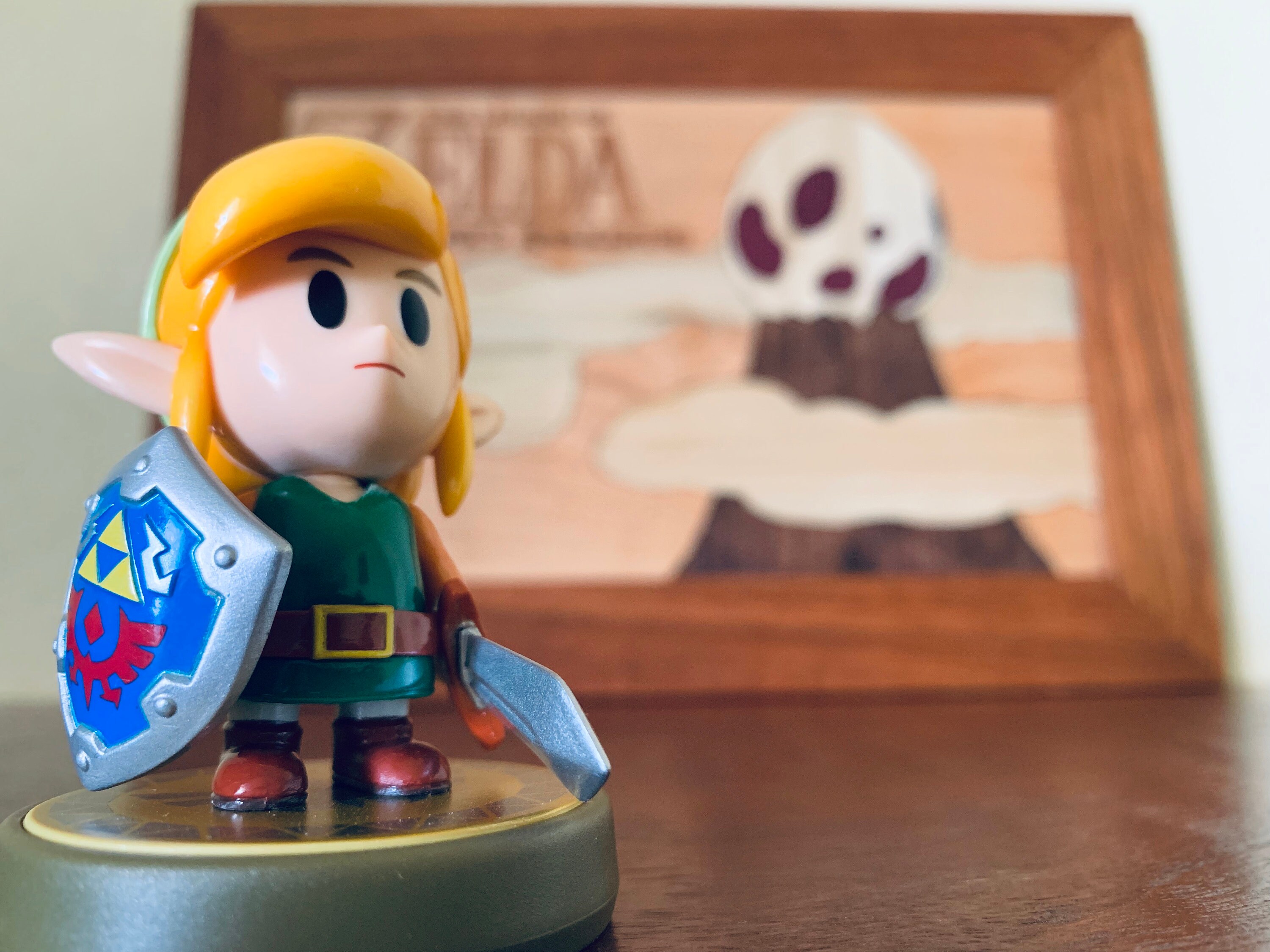 Limited Edition Nintendo Legend of Zelda Link's | Etsy