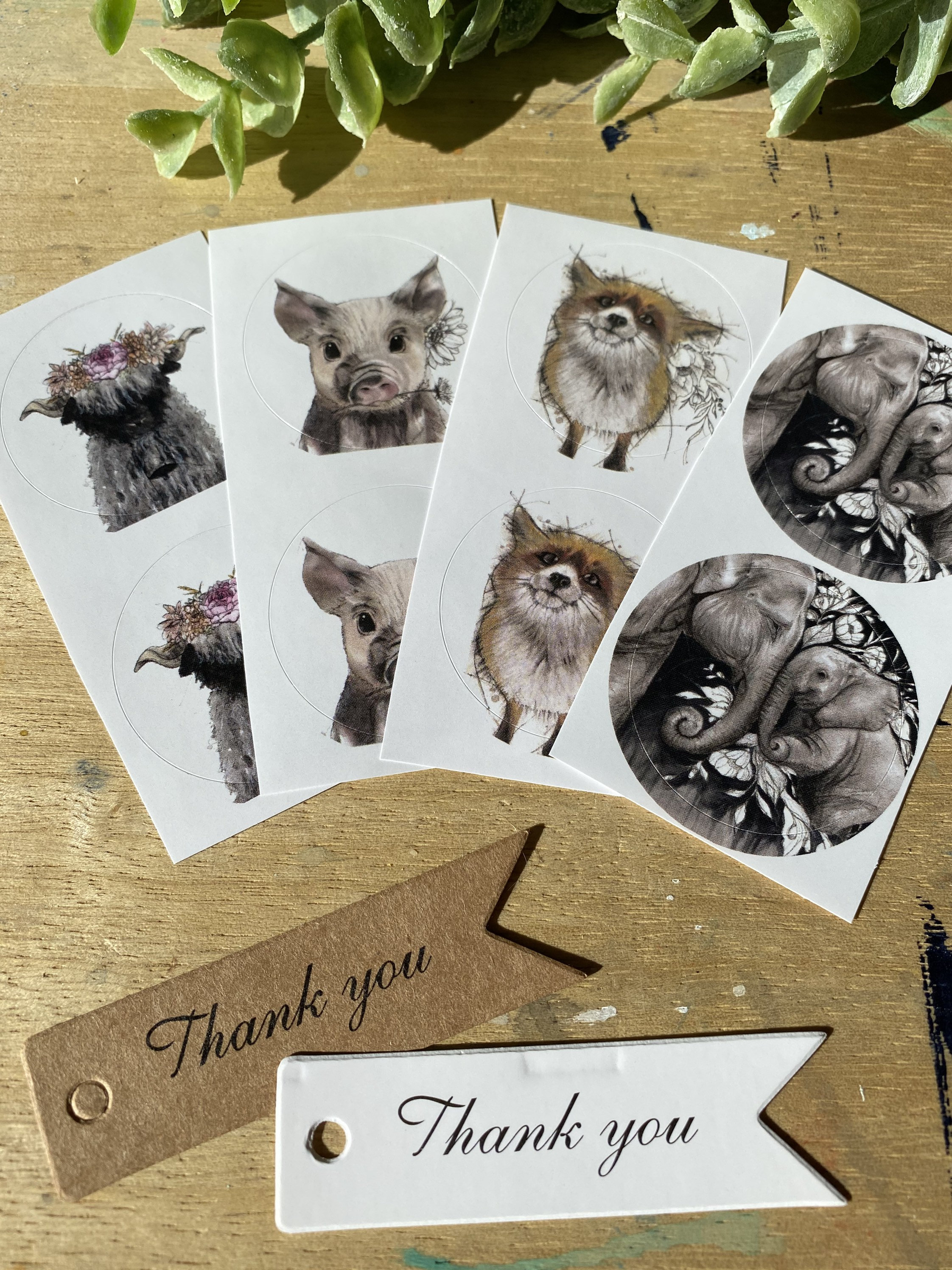 Set of 10 Variety Pack, Blank, Animal Greeting Cards and Set of 10 ...