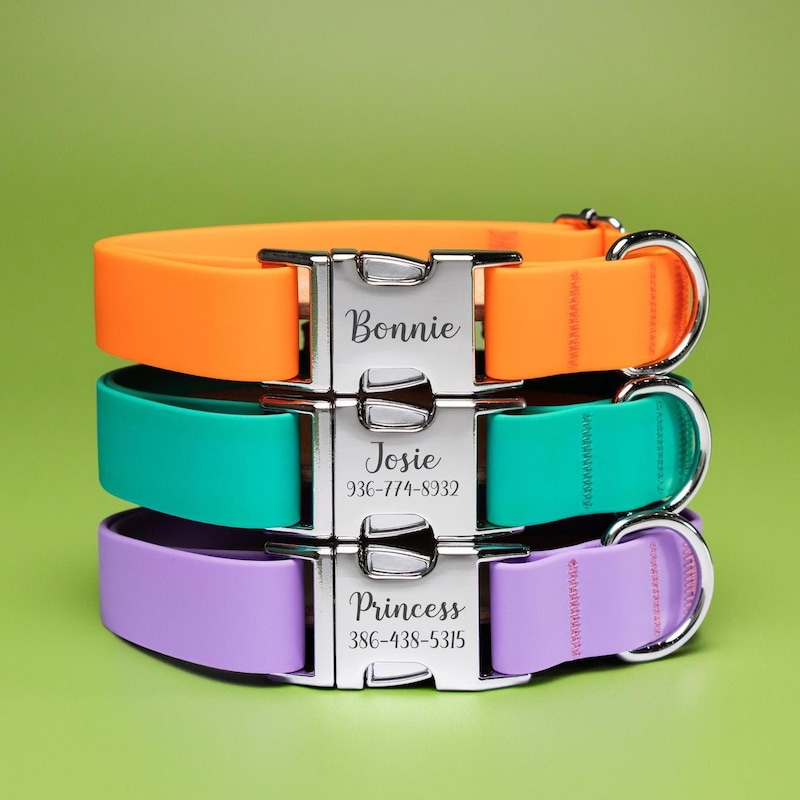 Personalised Dog Collars - Etsy UK