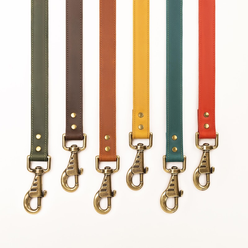 Dog Lead Collar Poop Bag - Etsy