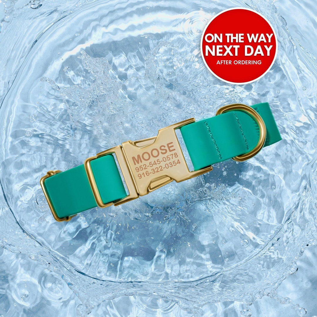 Waterproof Dog Collar, Dog Collar, Gold Quick Release Buckle Dog Collar ...