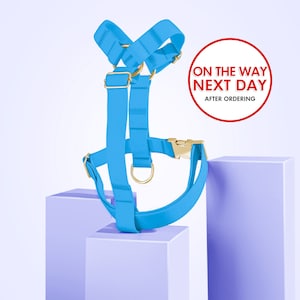 Waterproof Dog Harness, Front and Back Clip Dog Harness, Gold Quick ...