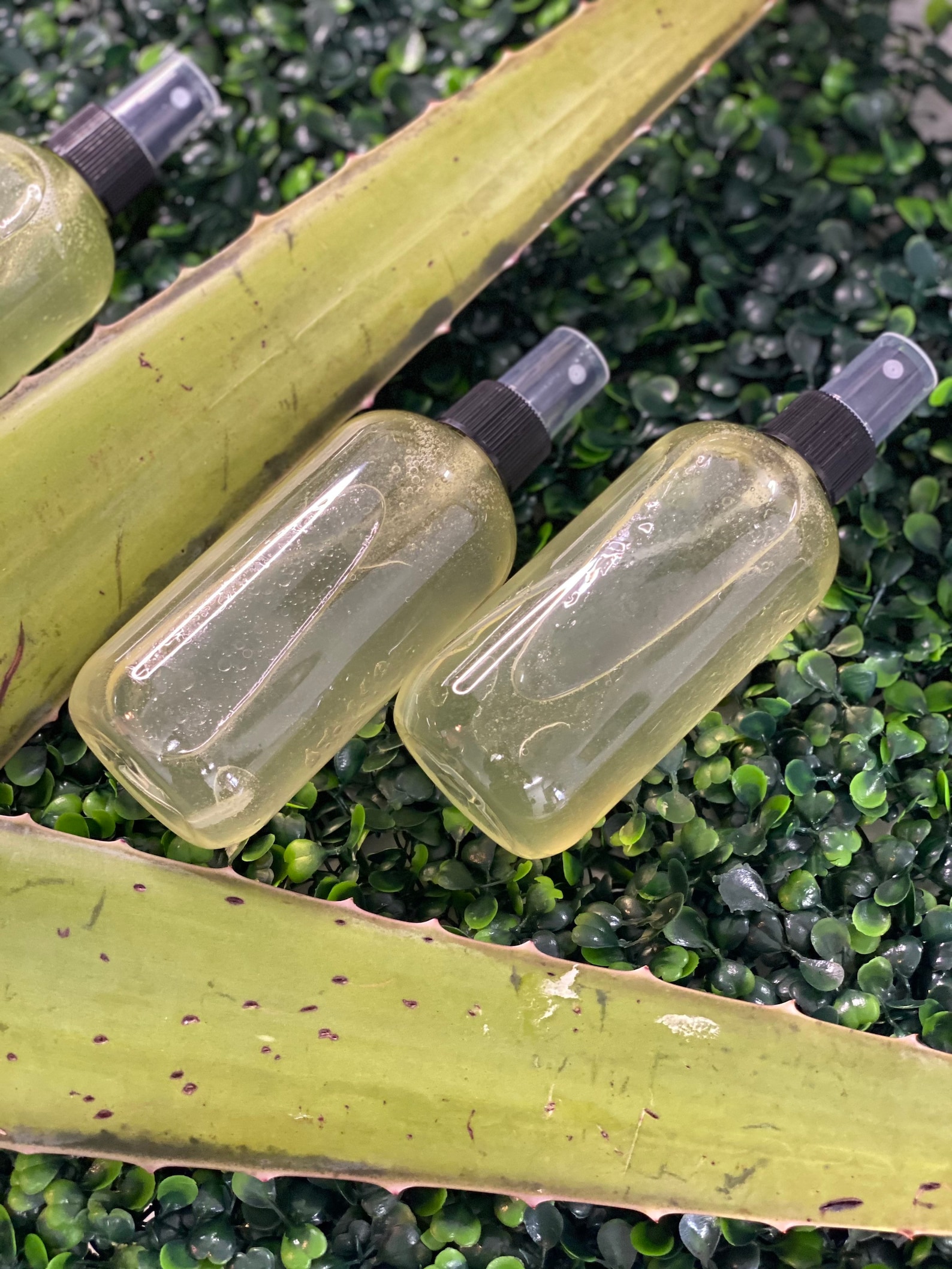 Aloe Vera Hair Moisturizer 8oz. | Etsy