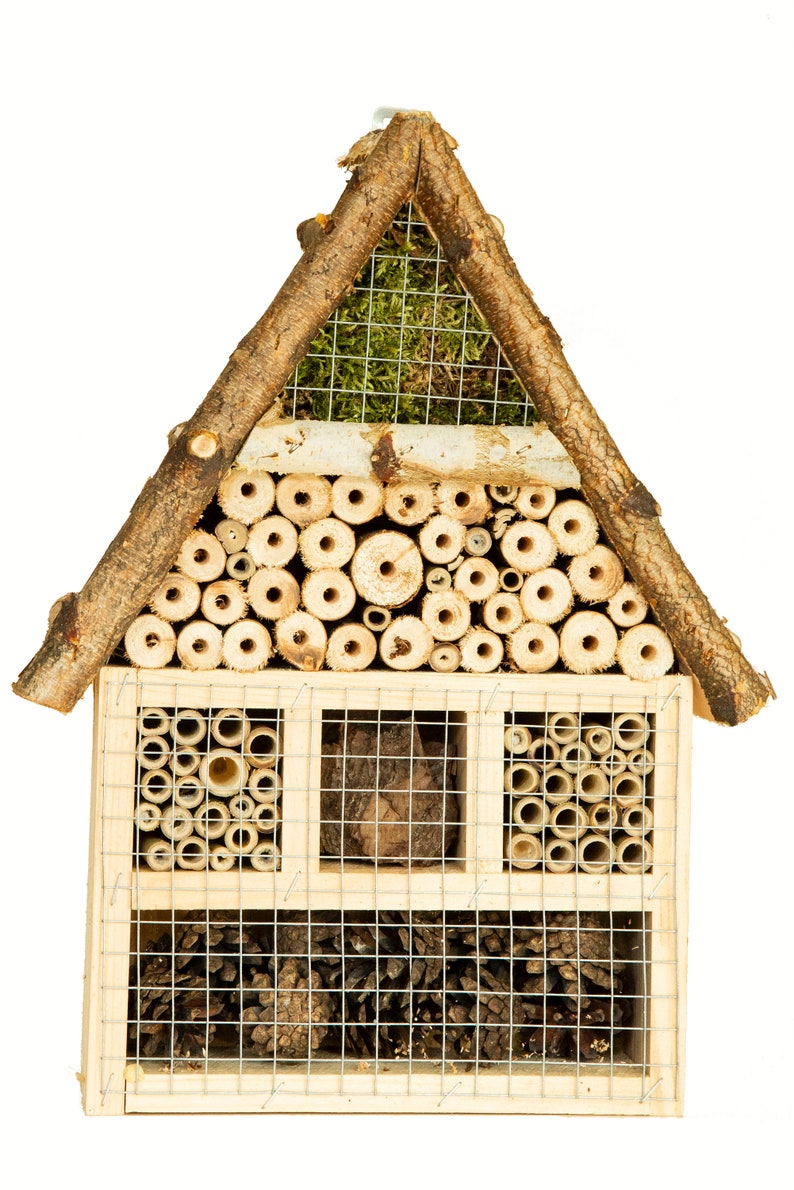 Insect Hotel Bug Hotel Insect House Handmade of Pine Birch - Etsy