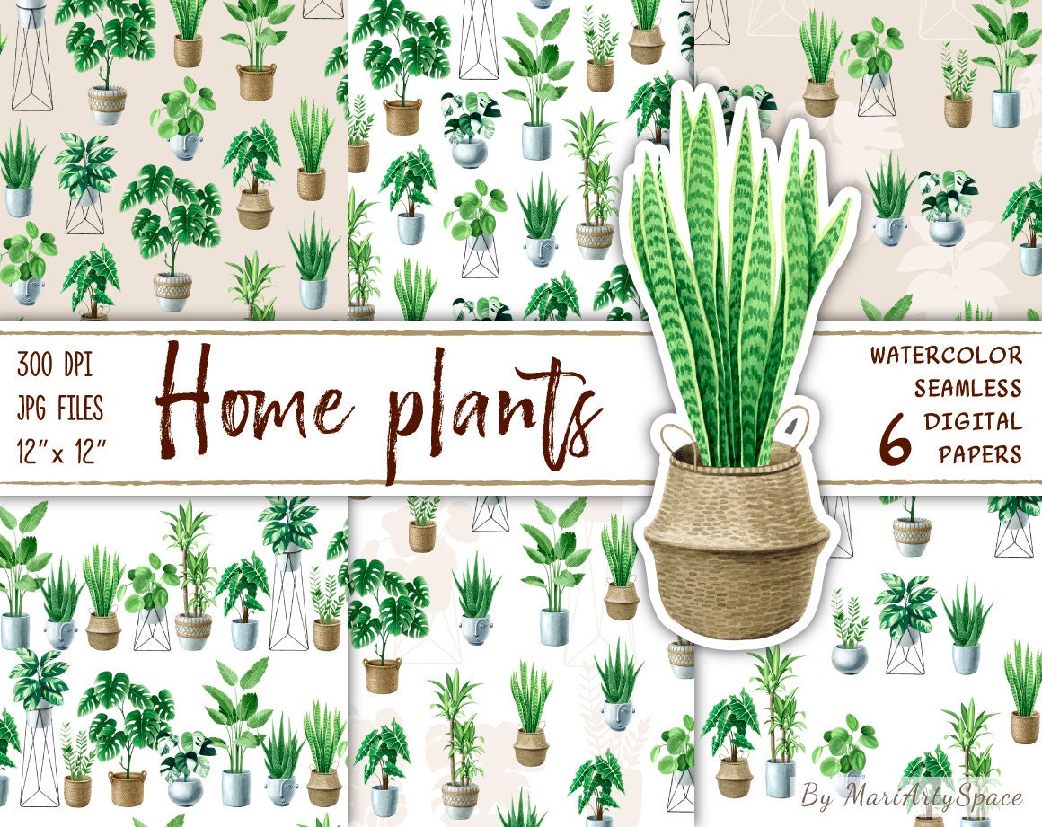 Watercolor Indoor Plants Digital Paper home potted plants | Etsy