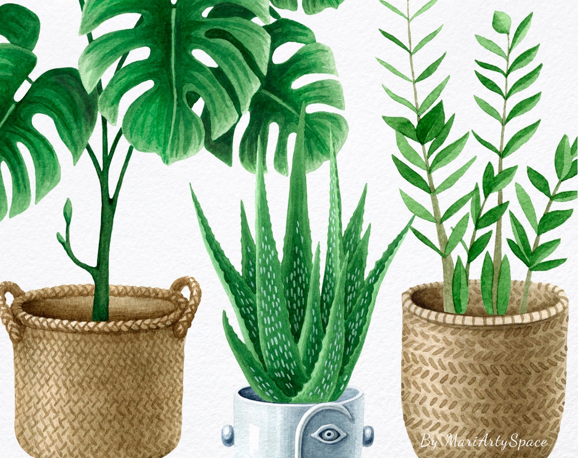 Watercolor indoor plants clipart home potted plants boho | Etsy
