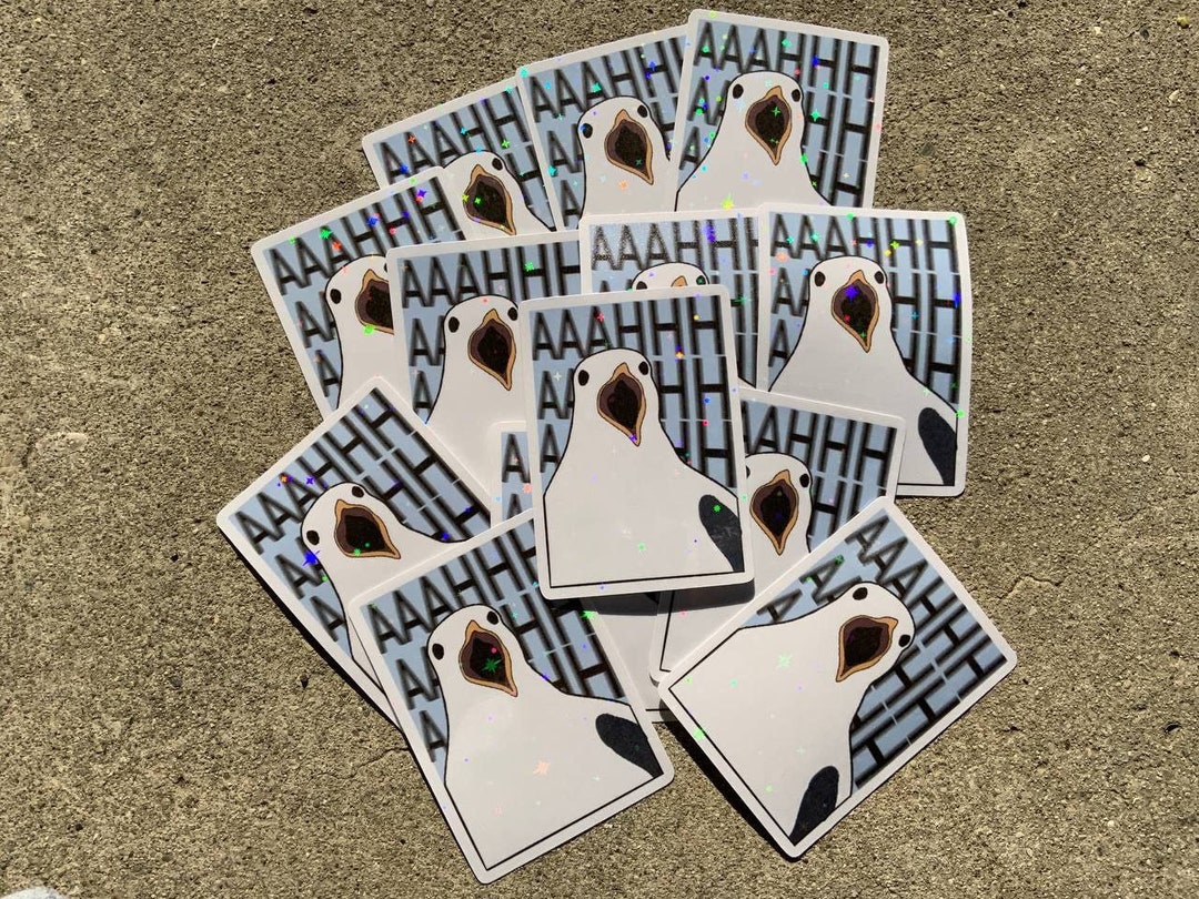Screaming Seagull Sticker - Etsy