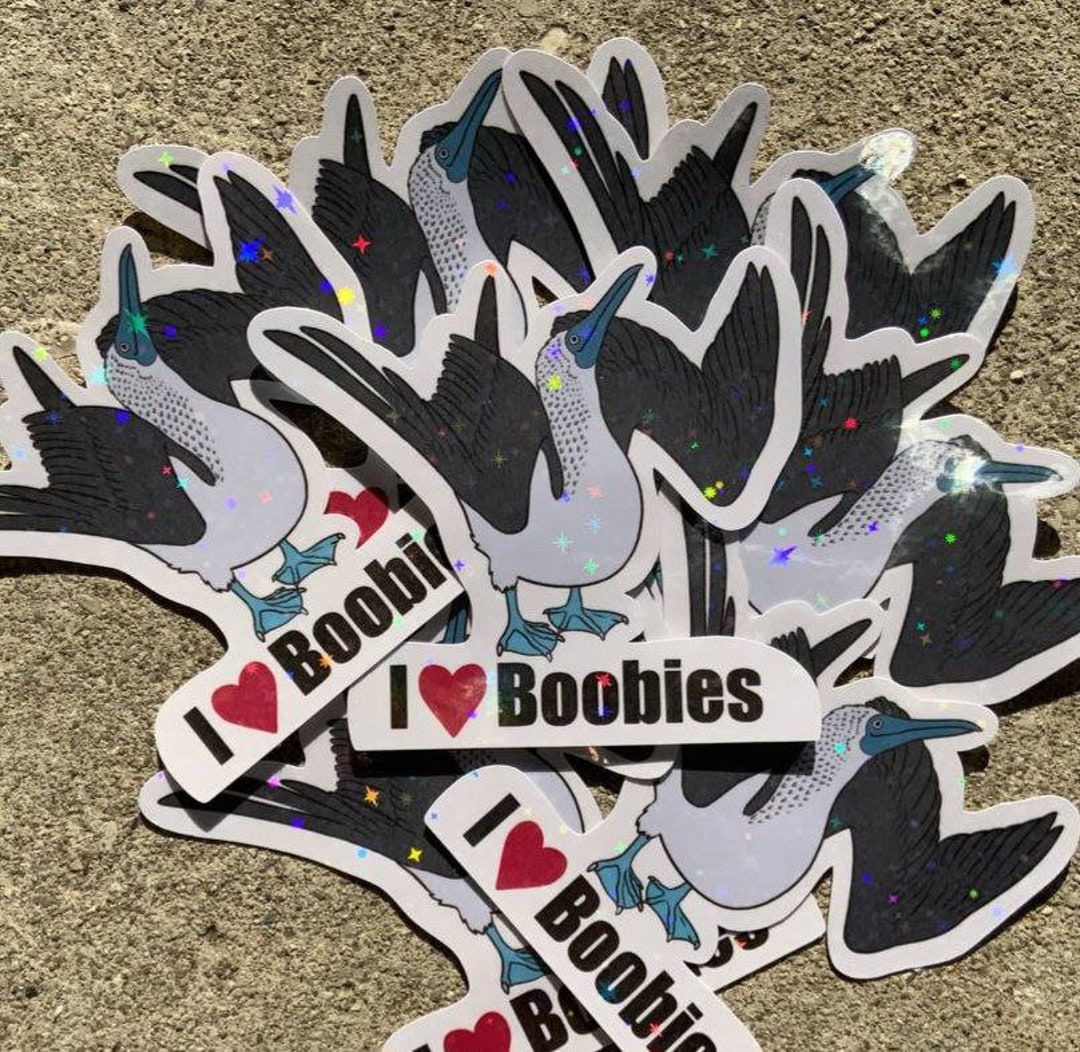 Blue Footed Boobie Sticker - Etsy