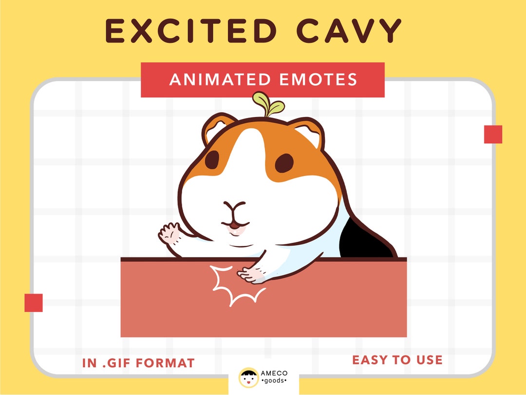Animated Sticker Excited Guinea Pig Animated Sticker Cavy Discord ...
