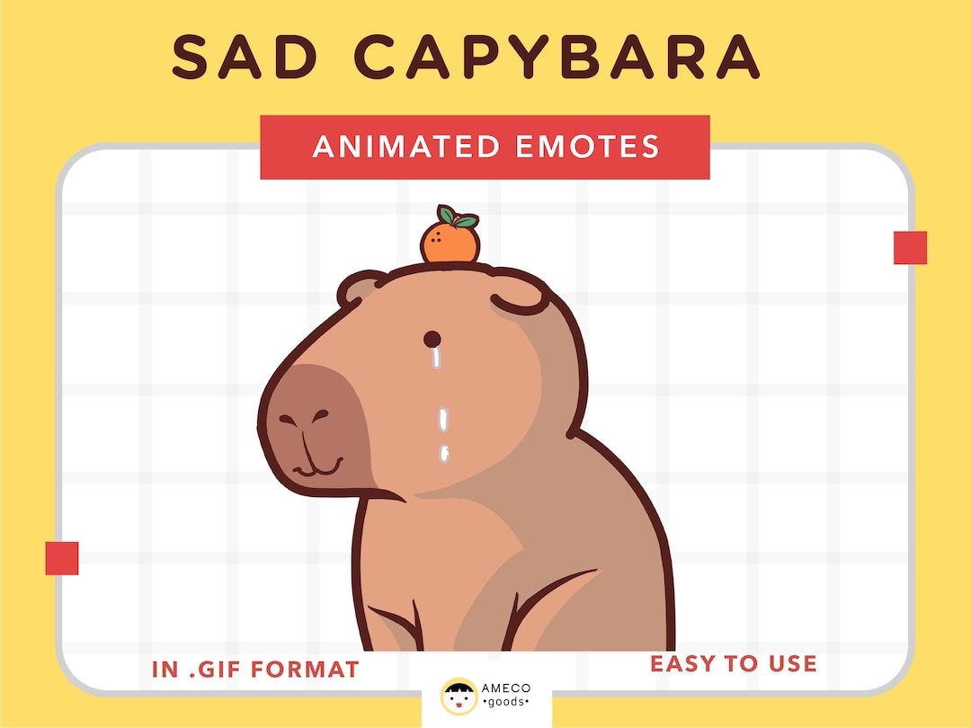 Animated Emotes Capybara Discord Animated Sticker Cute Cavy Discord ...
