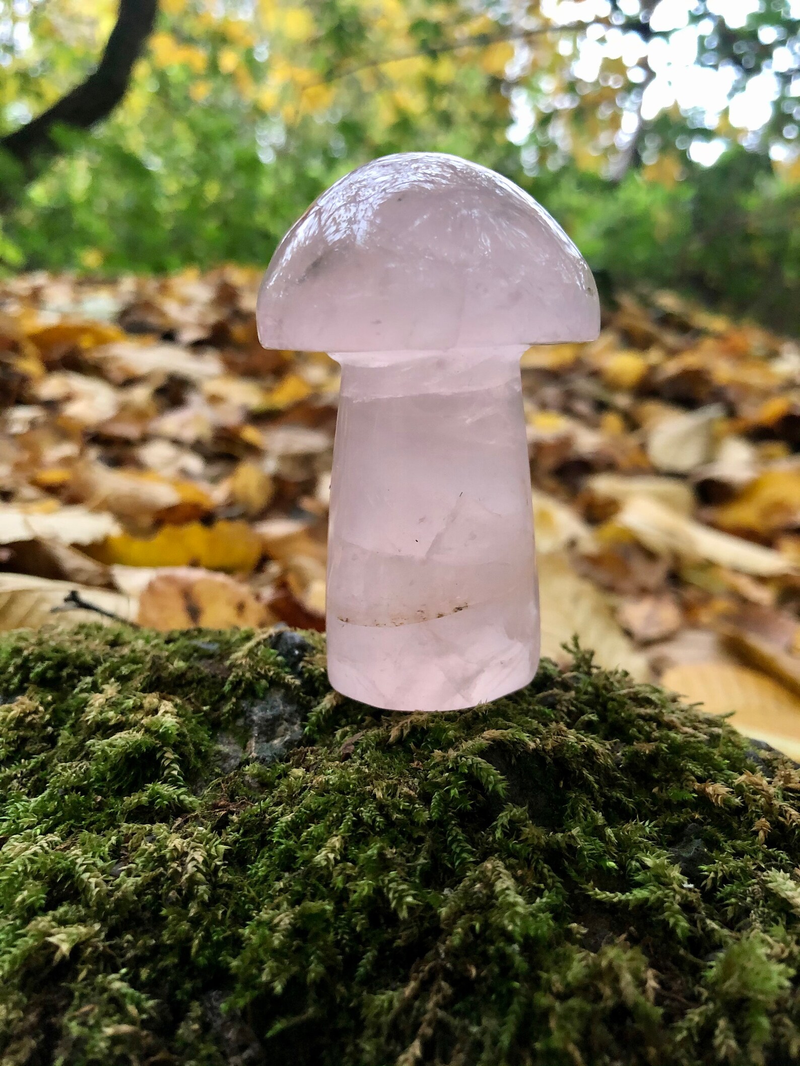 Crystal Mushroom Rose Quartz Pink Toadstool Carved / Cute - Etsy