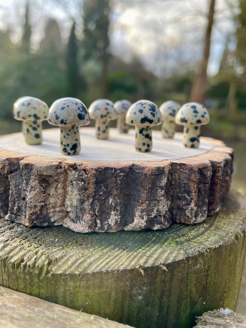 Mini Crystal Mushroom Dalmatian Jasper Baby Toadstool Carved | Etsy