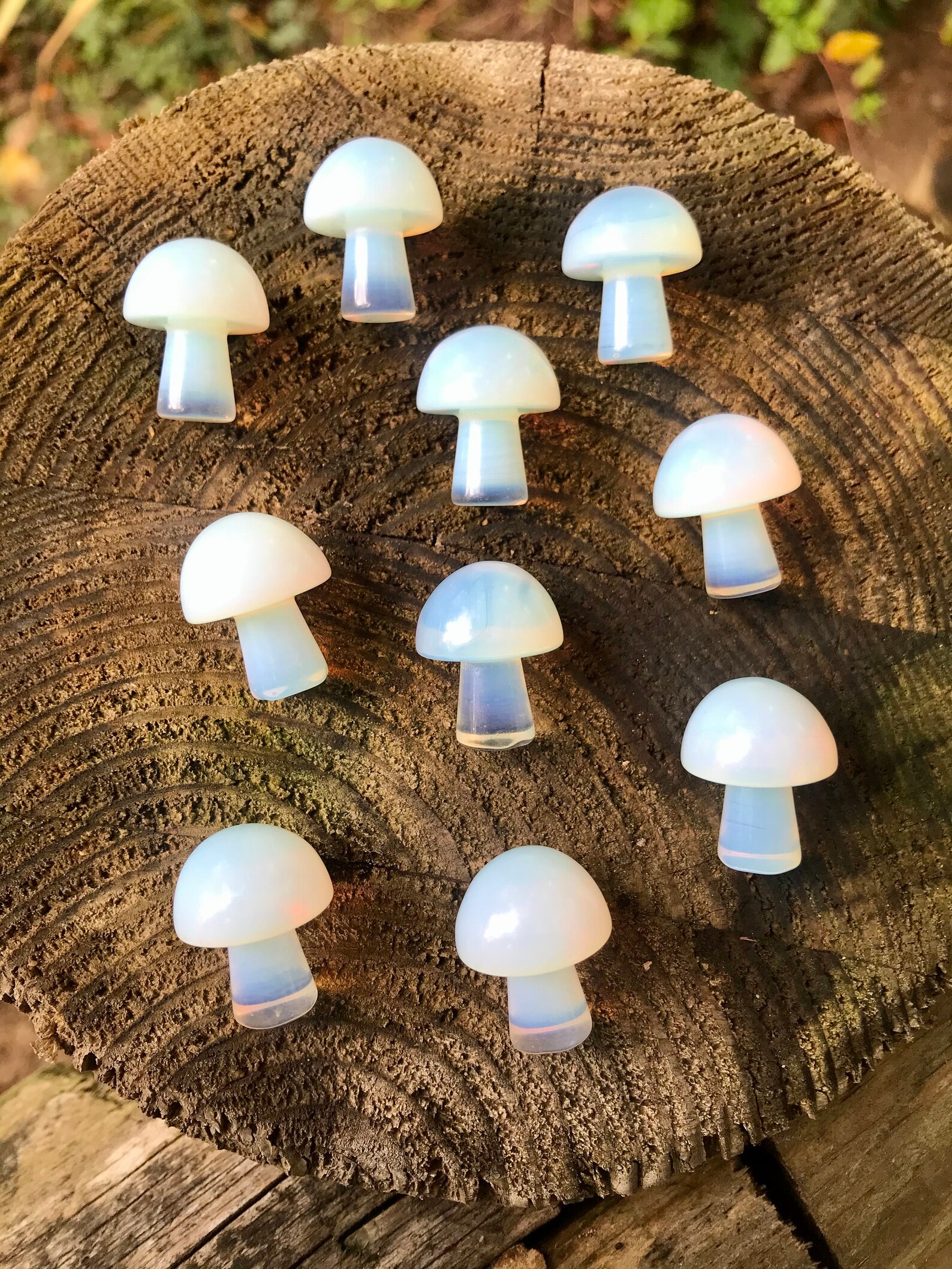 Mini Crystal Mushroom Opalite Iridescent Carved Toadstool - Etsy