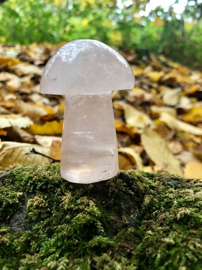 Crystal Mushroom Rose Quartz Pink Toadstool Carved / Cute - Etsy
