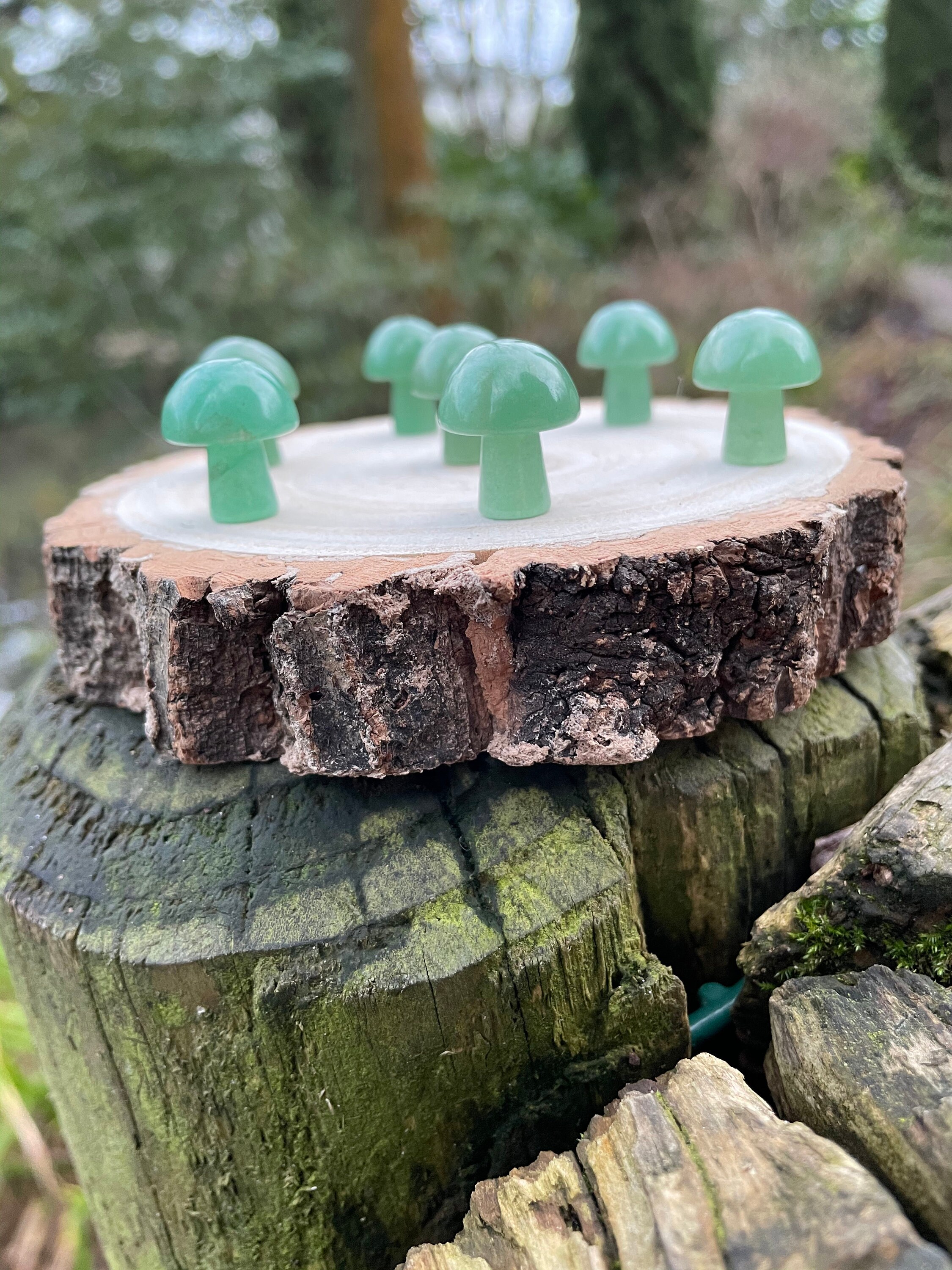 Mini Crystal Mushroom Green Aventurine Baby Toadstool Carved | Etsy UK