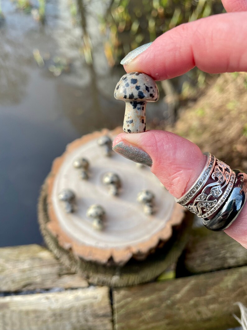 Mini Crystal Mushroom Dalmatian Jasper Baby Toadstool Carved | Etsy