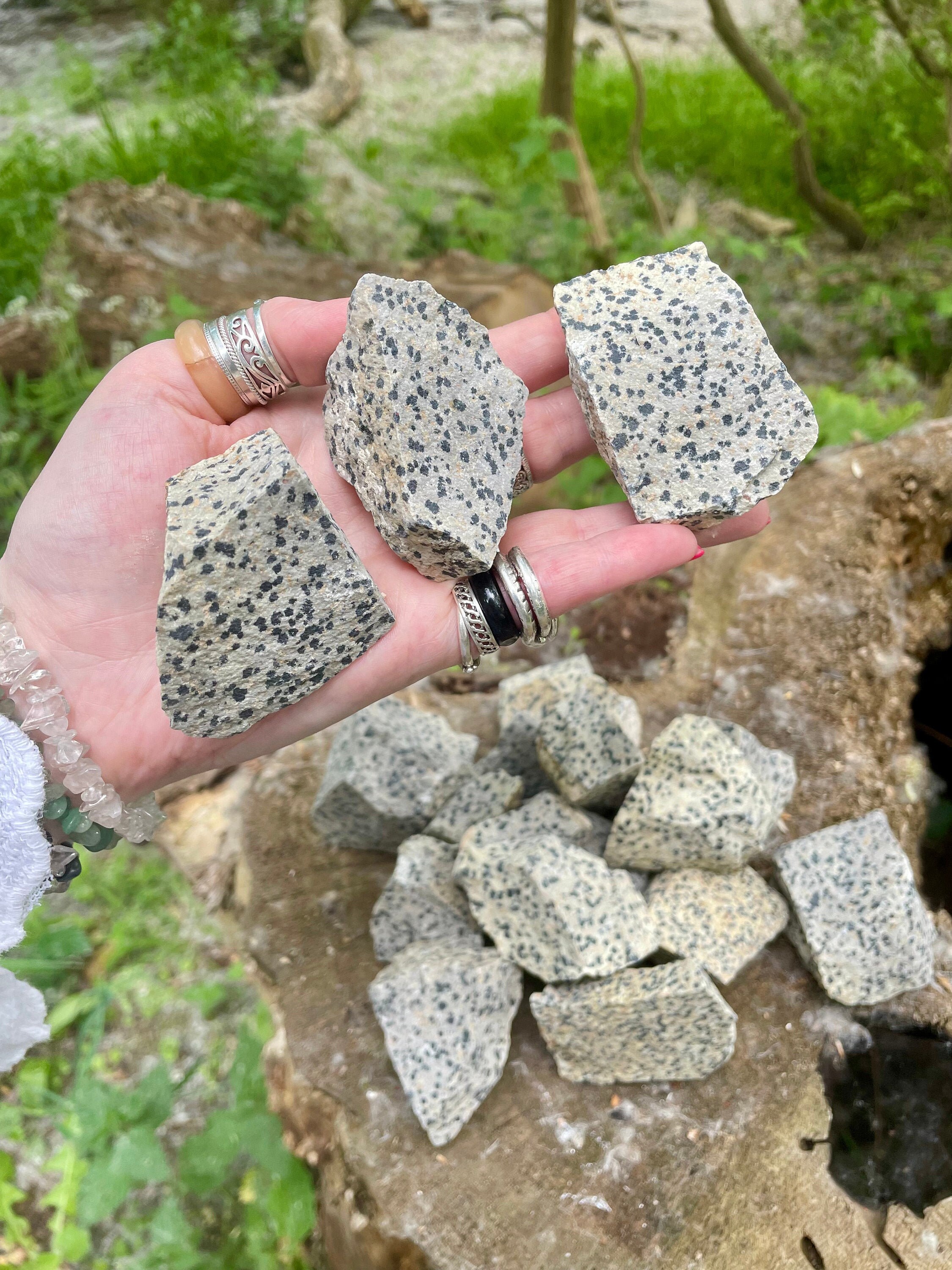 Dalmatian Jasper Natural Raw Crystal Rough Piece Spotted - Etsy UK
