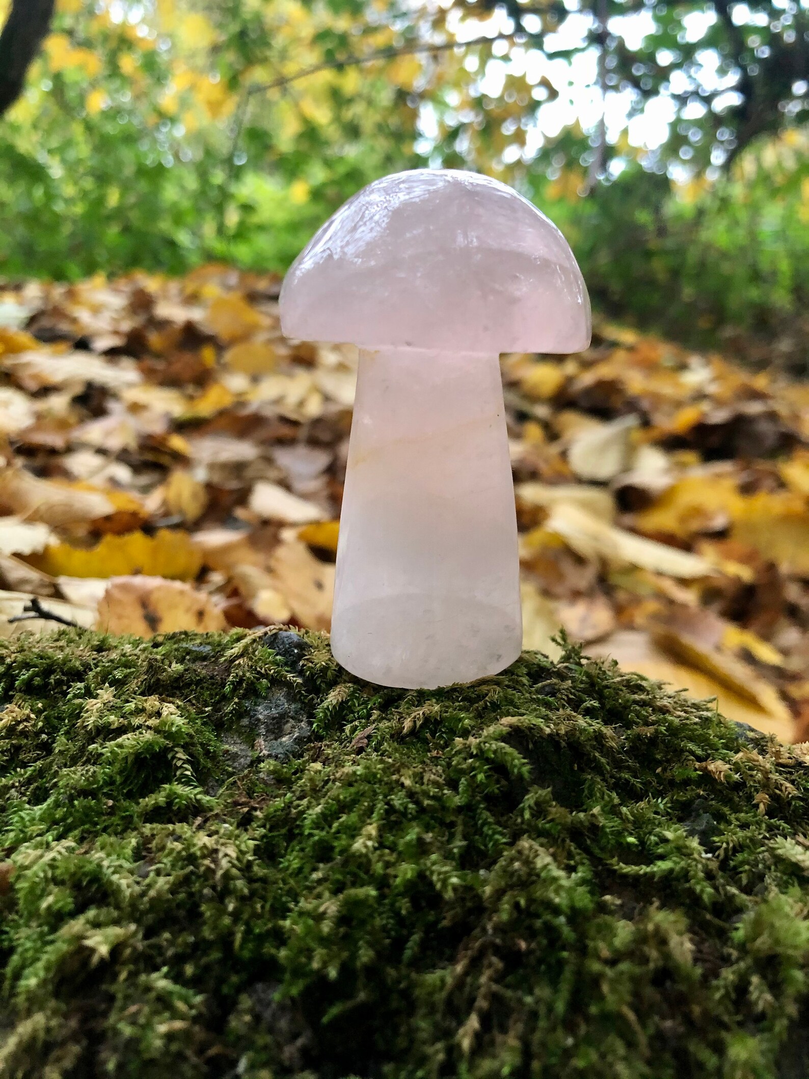 Crystal Mushroom Rose Quartz Pink Toadstool Carved / Cute - Etsy