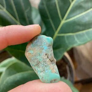 Genuine Real Peruvian Turquoise Tumbled Stone / Genuine | Etsy