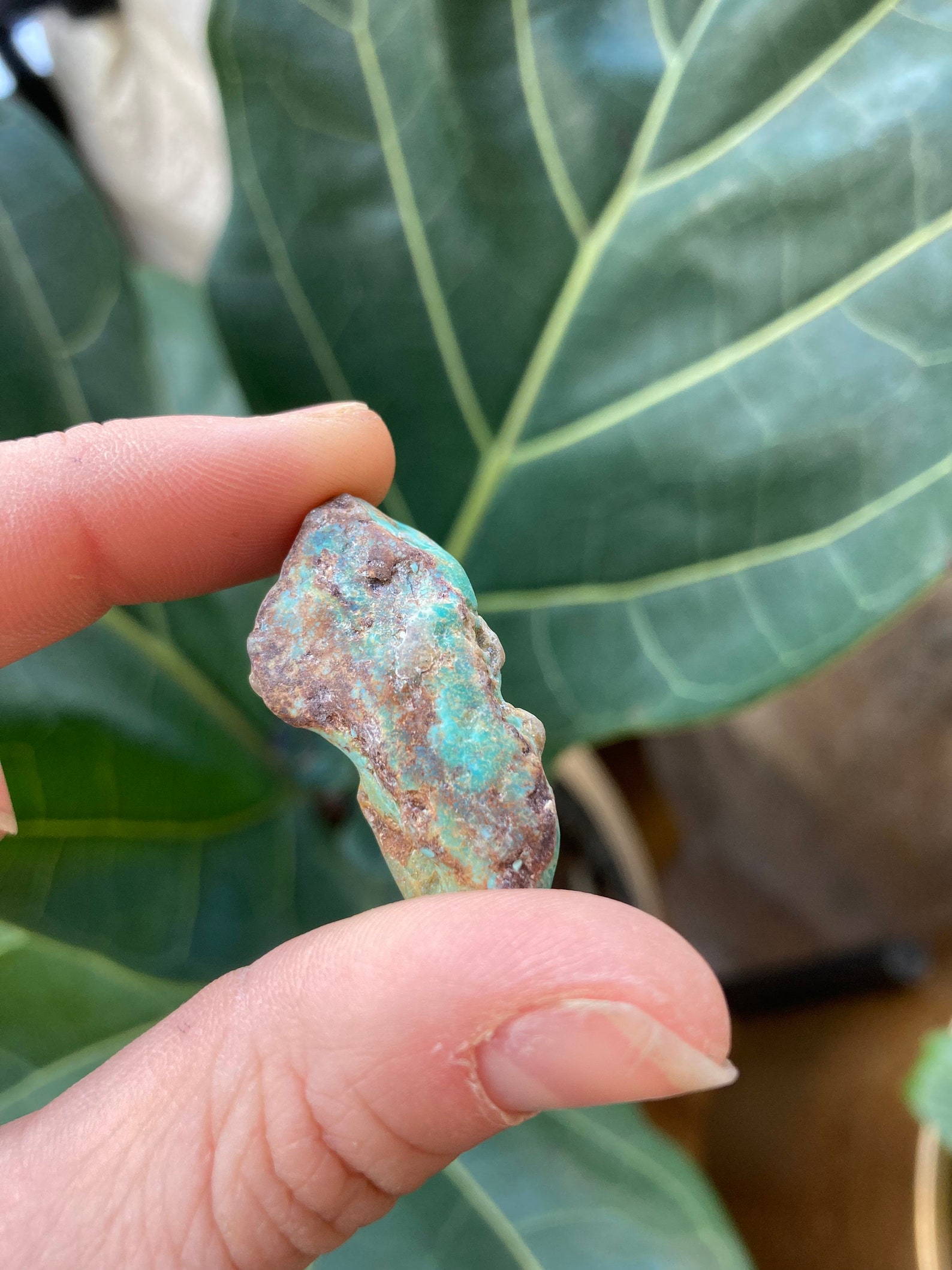 Genuine Real Peruvian Turquoise Tumbled Stone / Genuine | Etsy