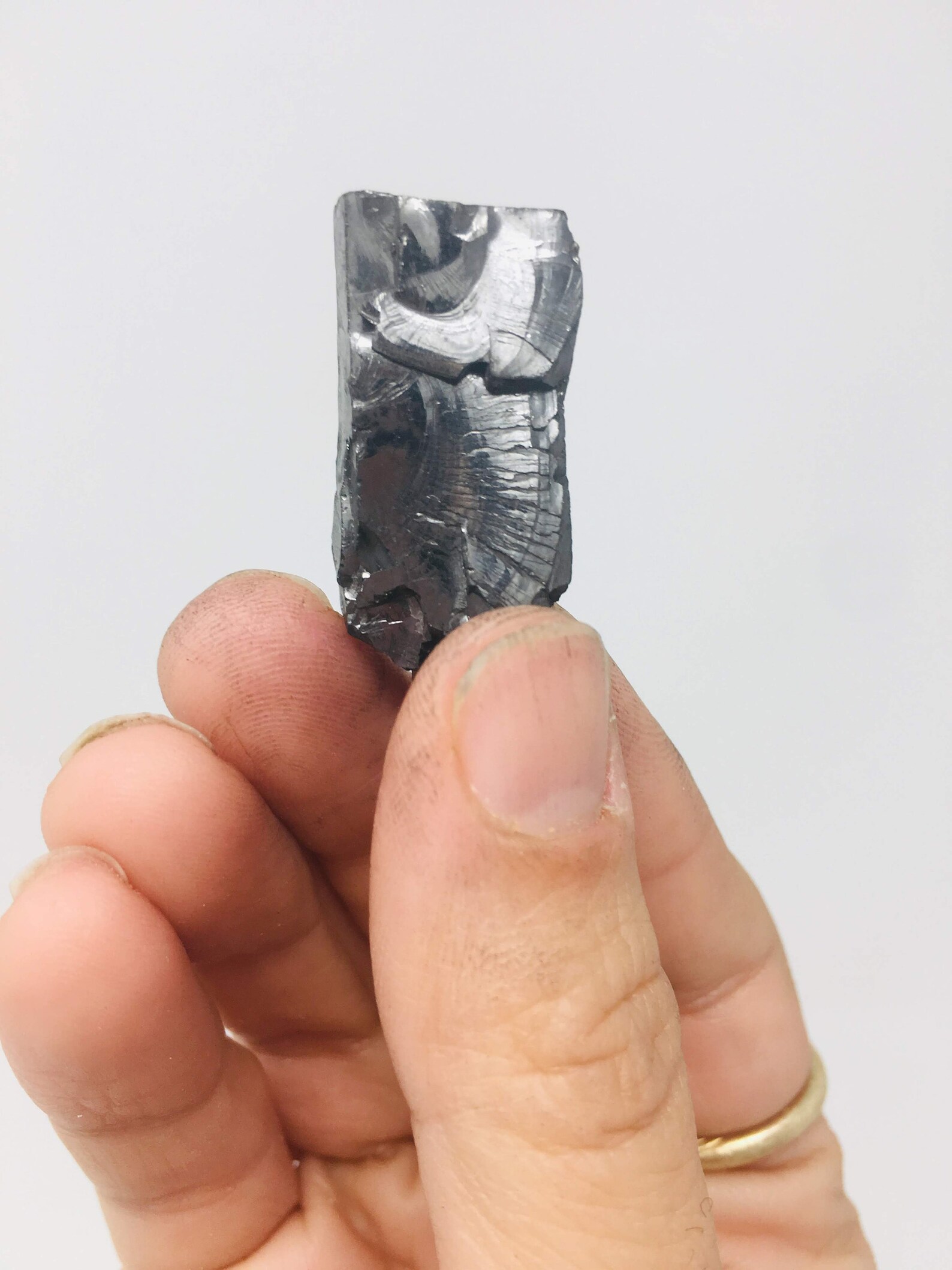 Elite Shungite Noble Shungite Stone EFM Protection Water - Etsy