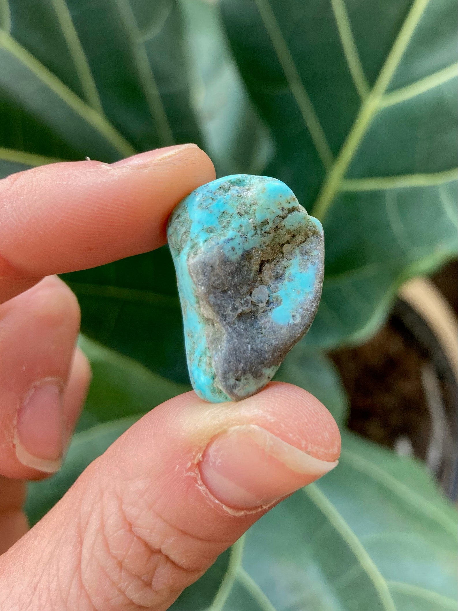 Genuine Real Peruvian Turquoise Tumbled Stone / Genuine | Etsy