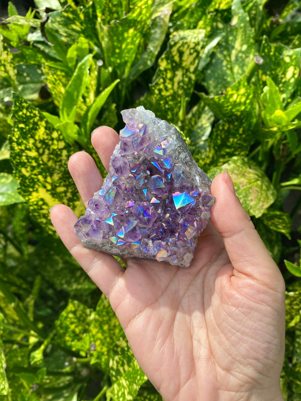 Aura Amethyst Crystal Cluster Extra Quality / 2-3 inches | Etsy