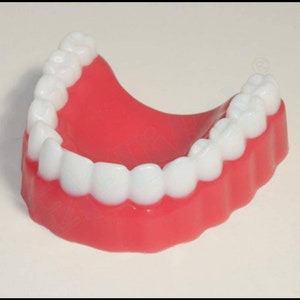 Doctor Dentist Tooth Toothbrush Jaw Toothpaste Denture Toothpaste Tube ...