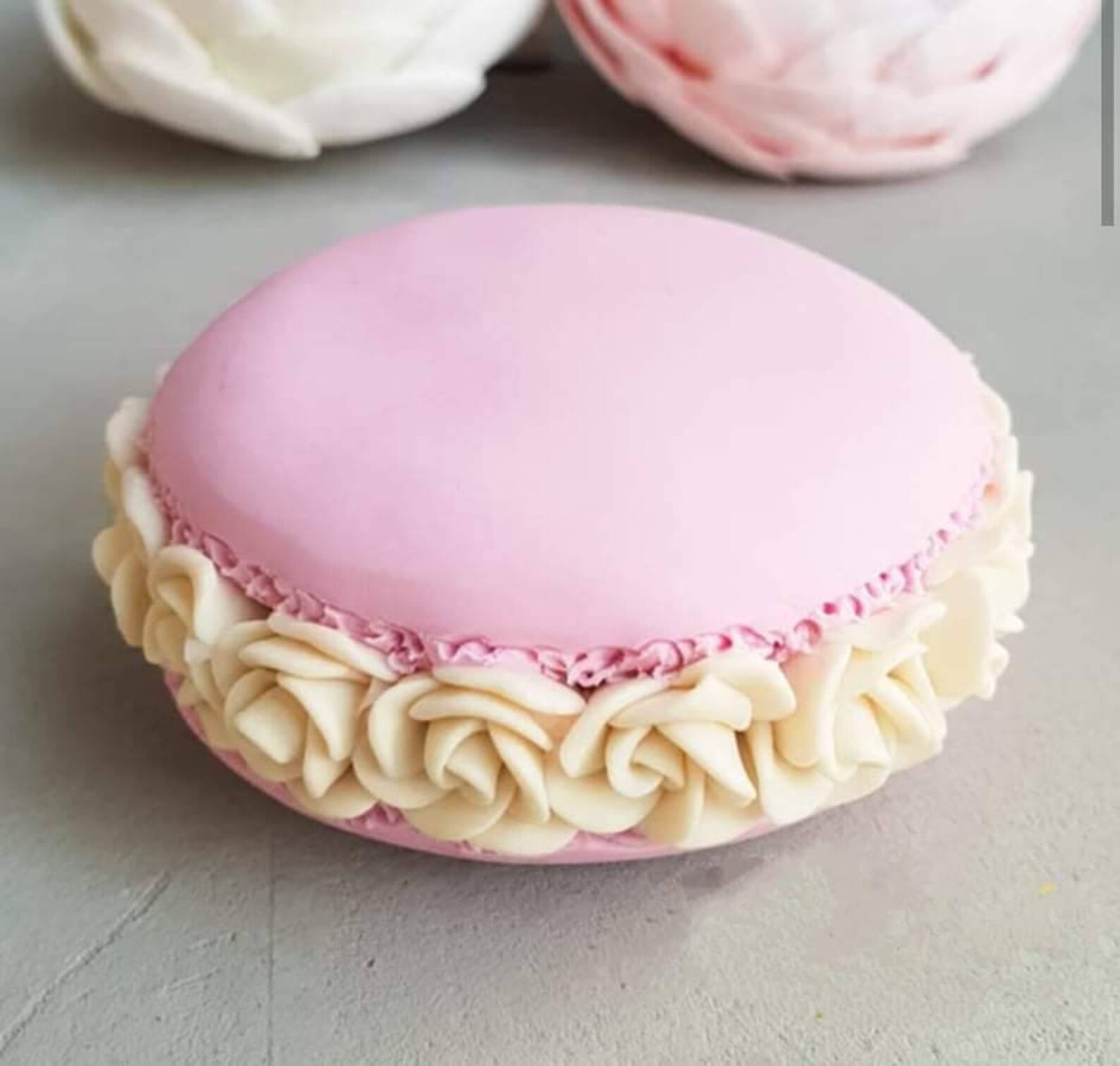 Heart and Round Shape Rose Roses French Macaroon Macaron Mold Mould ...