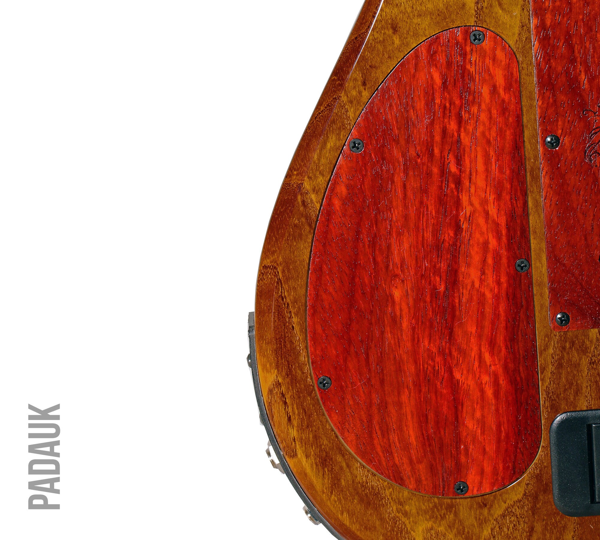 Kiesel (carvin) Guitar Electronics Cavity Large Back Plate - Etsy