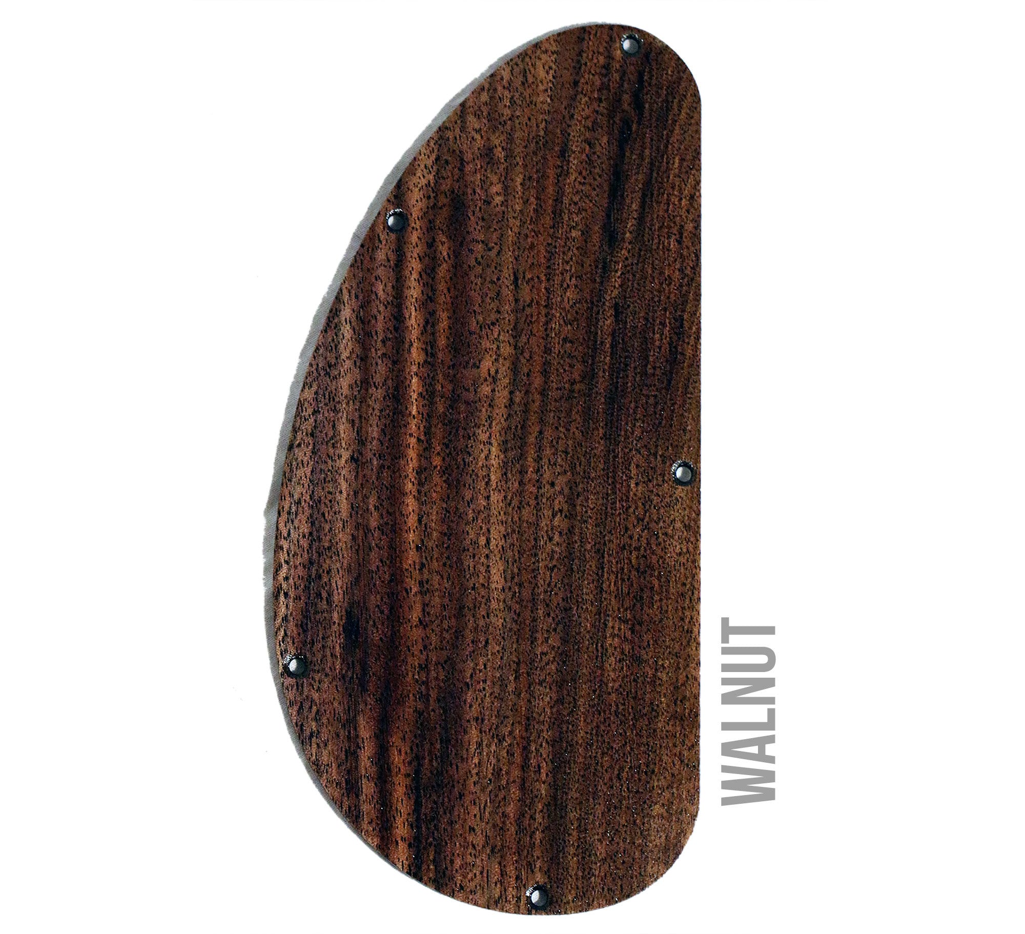 Kiesel (carvin) Guitar Electronics Cavity Large Back Plate - Etsy